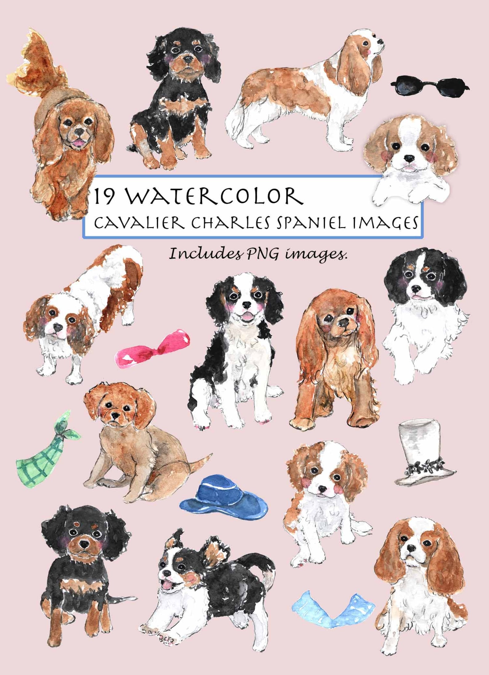 CLIP ART- Watercolor Cavalier King Charles Spaniel Set. 19 Images ...