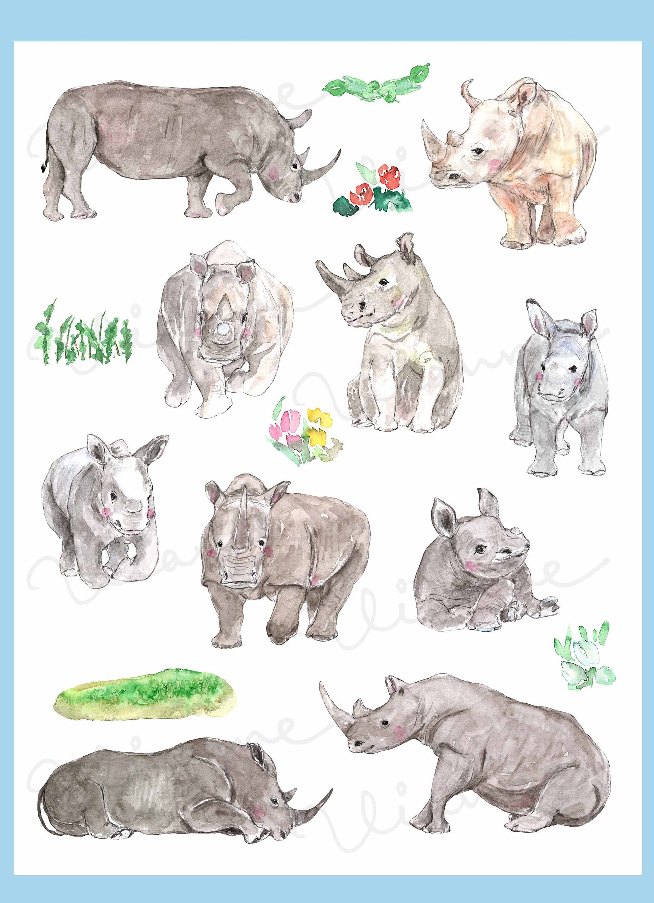 Watercolor Rhino Clipart Set – 16 PNG Images (digital Download) - Etsy