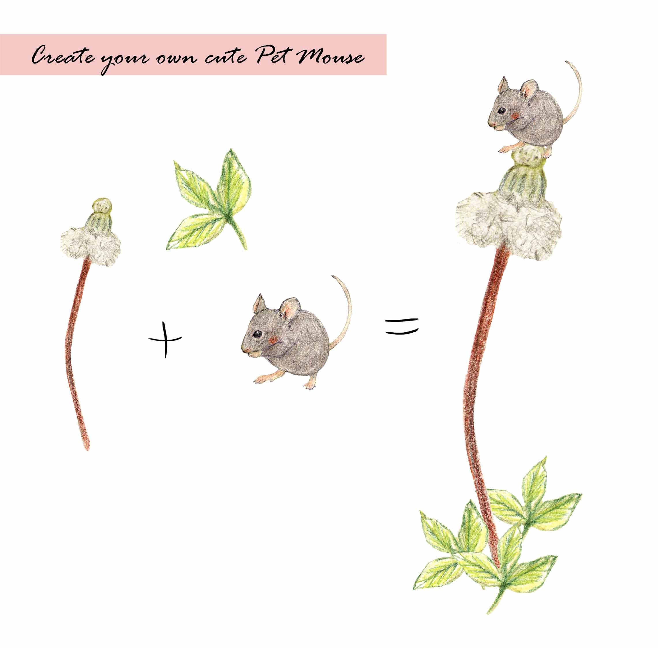 Colored Pencil Pet Mouse Clip Art Set (digital Download) - Etsy