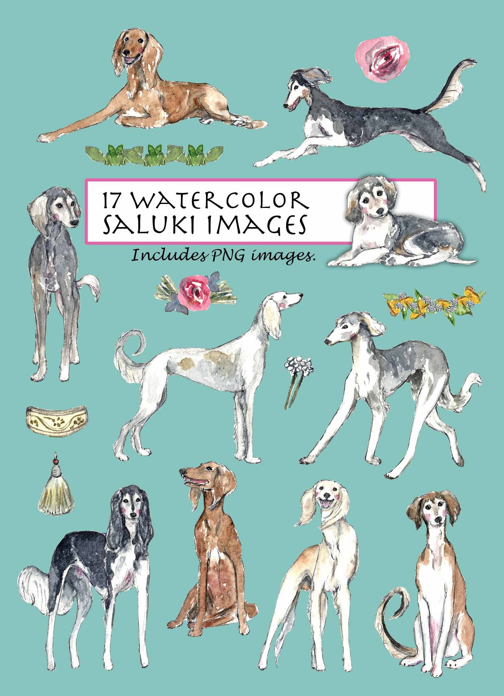 Skinny Dog Clipart