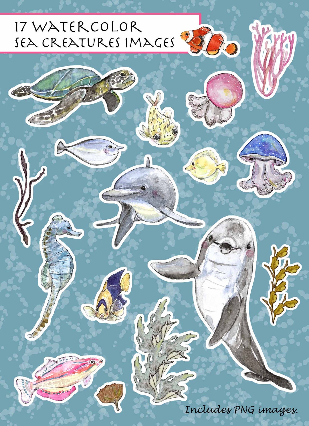 Watercolor Sea Creatures Clip Art Set (digital Download) - Etsy
