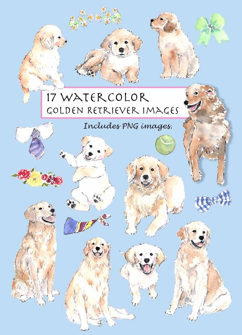 Watercolor Golden Retriever Clipart Set: Puppy Dog Images (digital ...