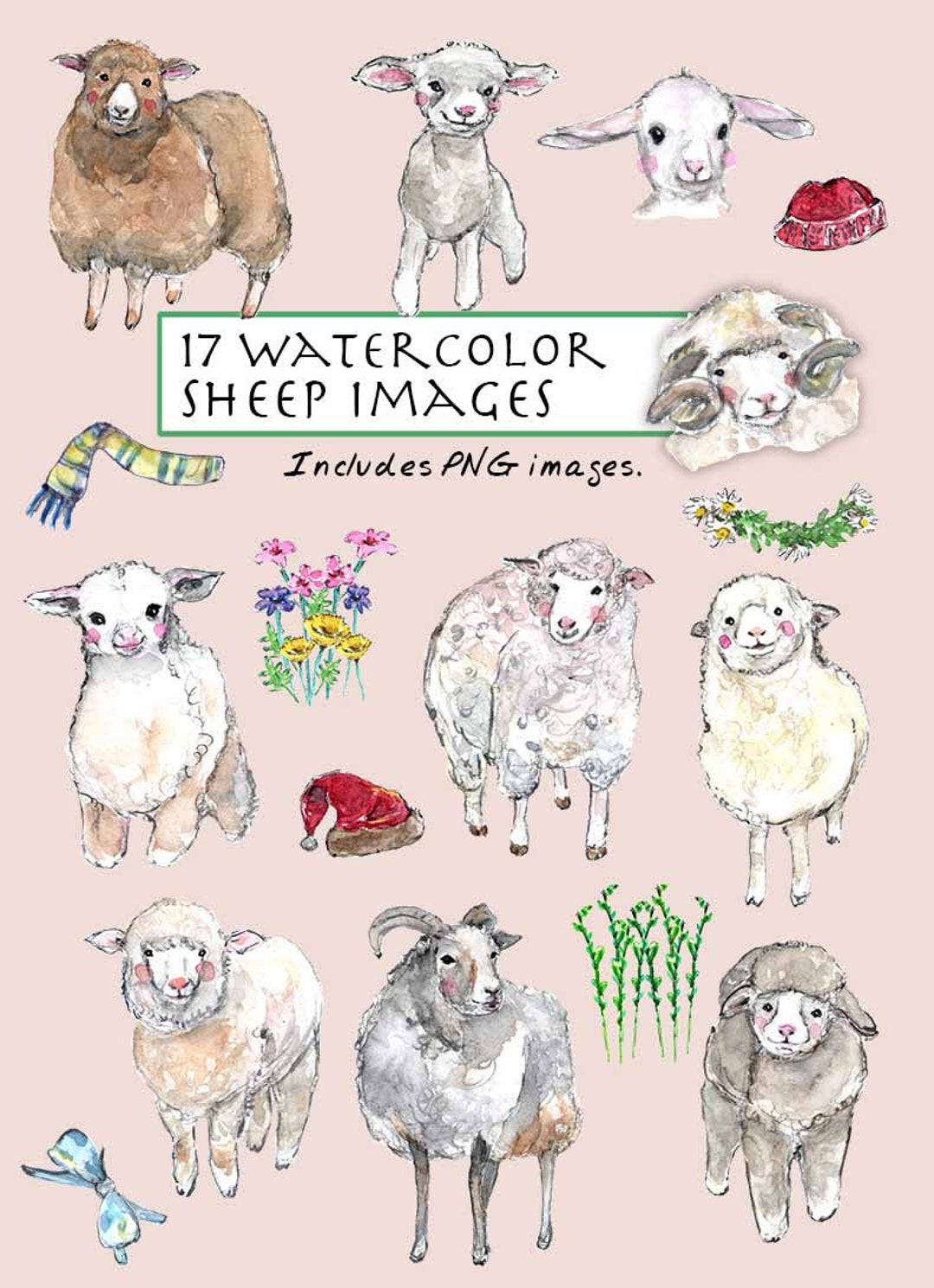 CLIP ART- Watercolor Sheep Set. 17 Images. Digital Download. Sheep ...
