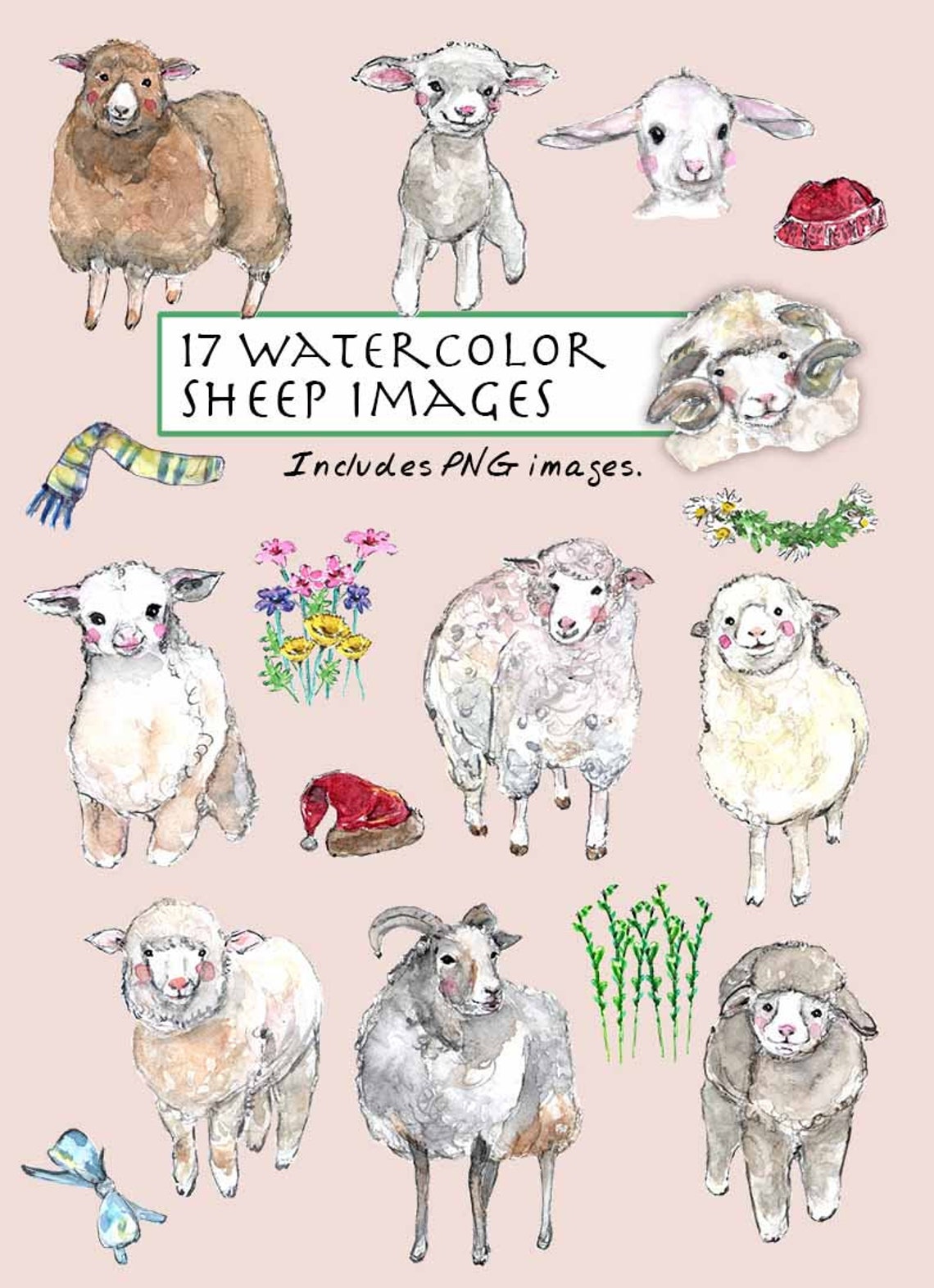 CLIP ART Watercolor Sheep Set. 17 Images. Digital Download. - Etsy