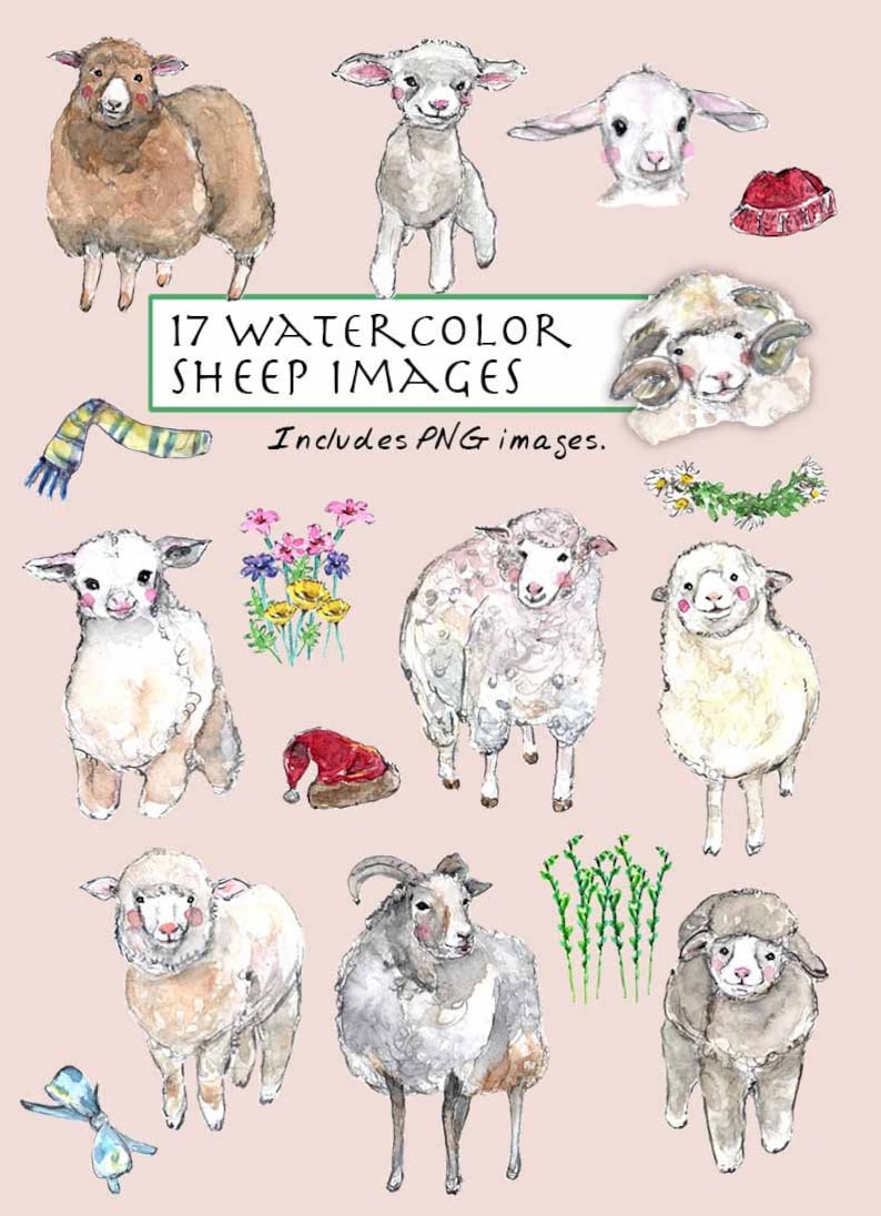 CLIP ART Watercolor Sheep Set. 17 Images. Digital Download. - Etsy