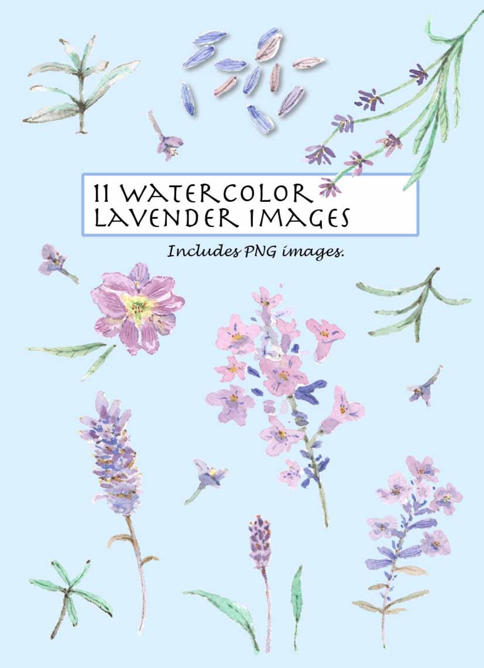 CLIP ART Watercolor Vintage Lavender Set. 11 Images. Digital - Etsy