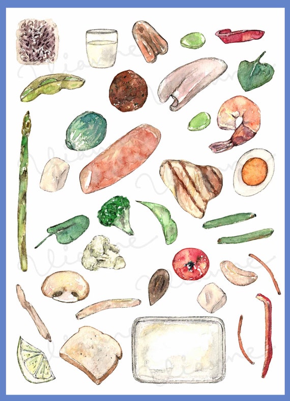 Protein Food Group Clip Art