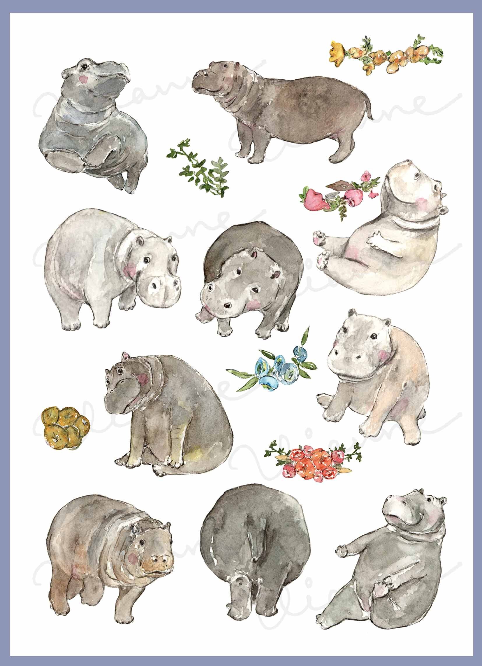 CLIP ART Watercolor Hippo Set. 16 Images. Digital Download. - Etsy