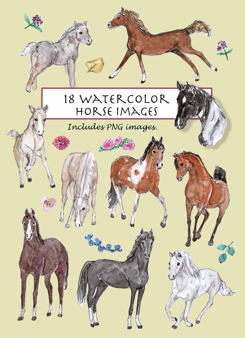 CLIP ART- Watercolor Horse Set. 18 Images. Digital Download. Horse ...
