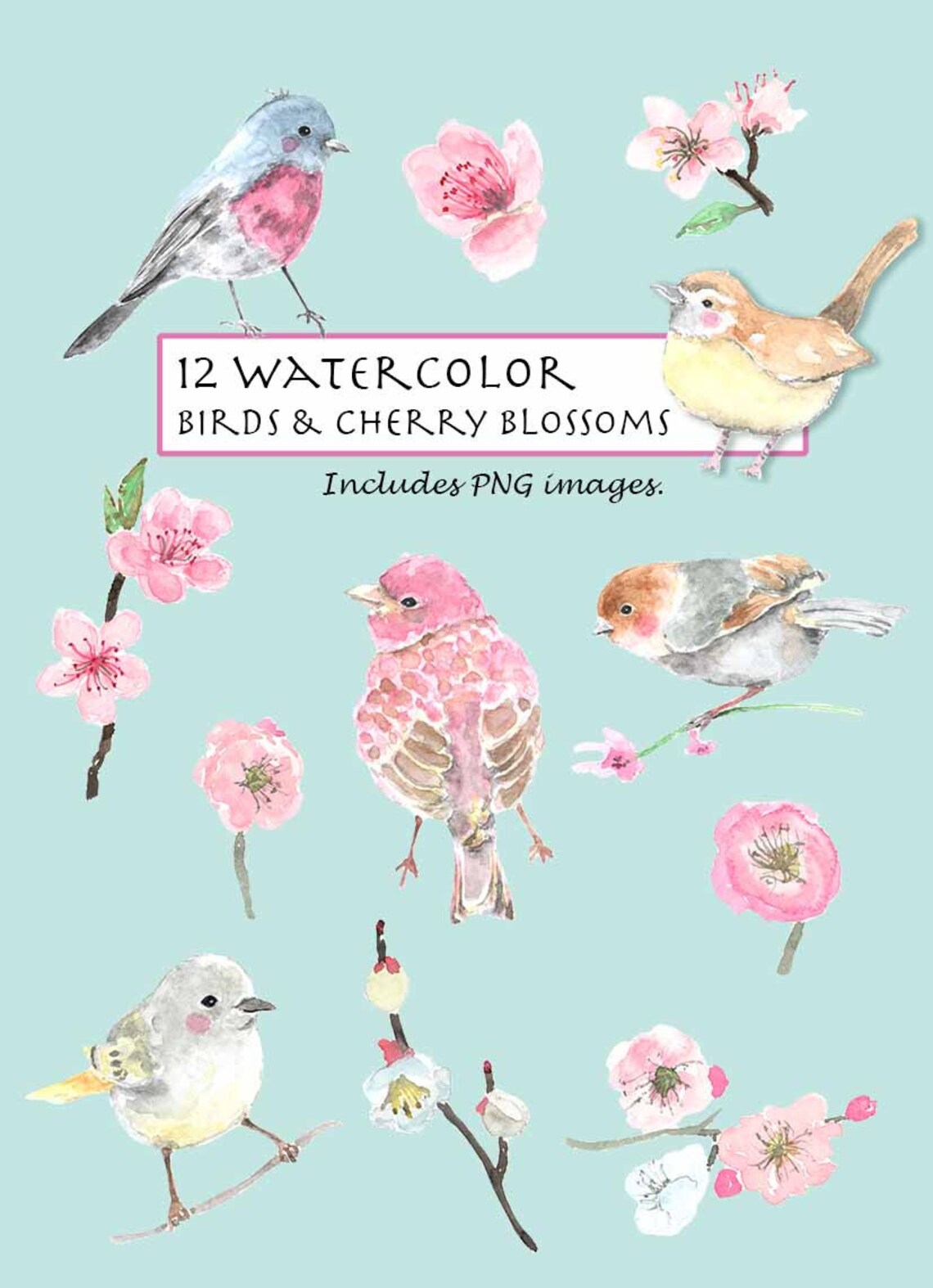 CLIP ART- Watercolor Birds & Cherry Blossoms Set. 12 Images. Digital ...