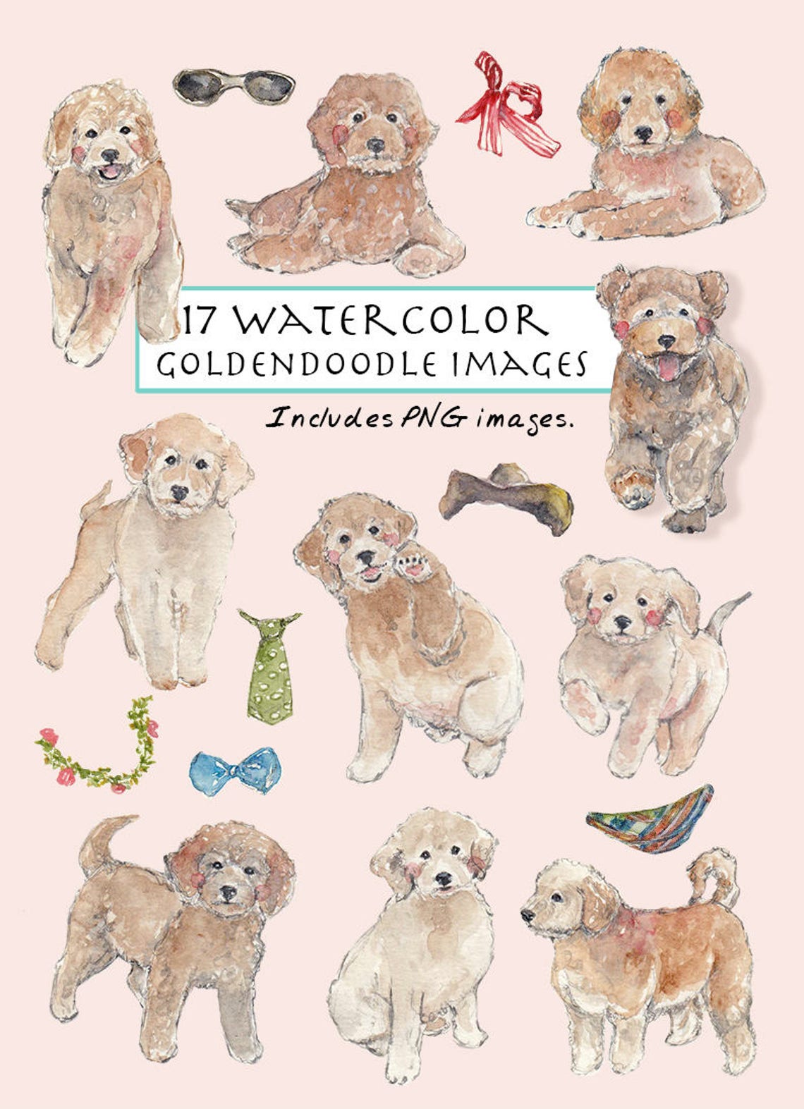 CLIP ART Watercolor Goldendoodle Set. 17 Images. Digital - Etsy