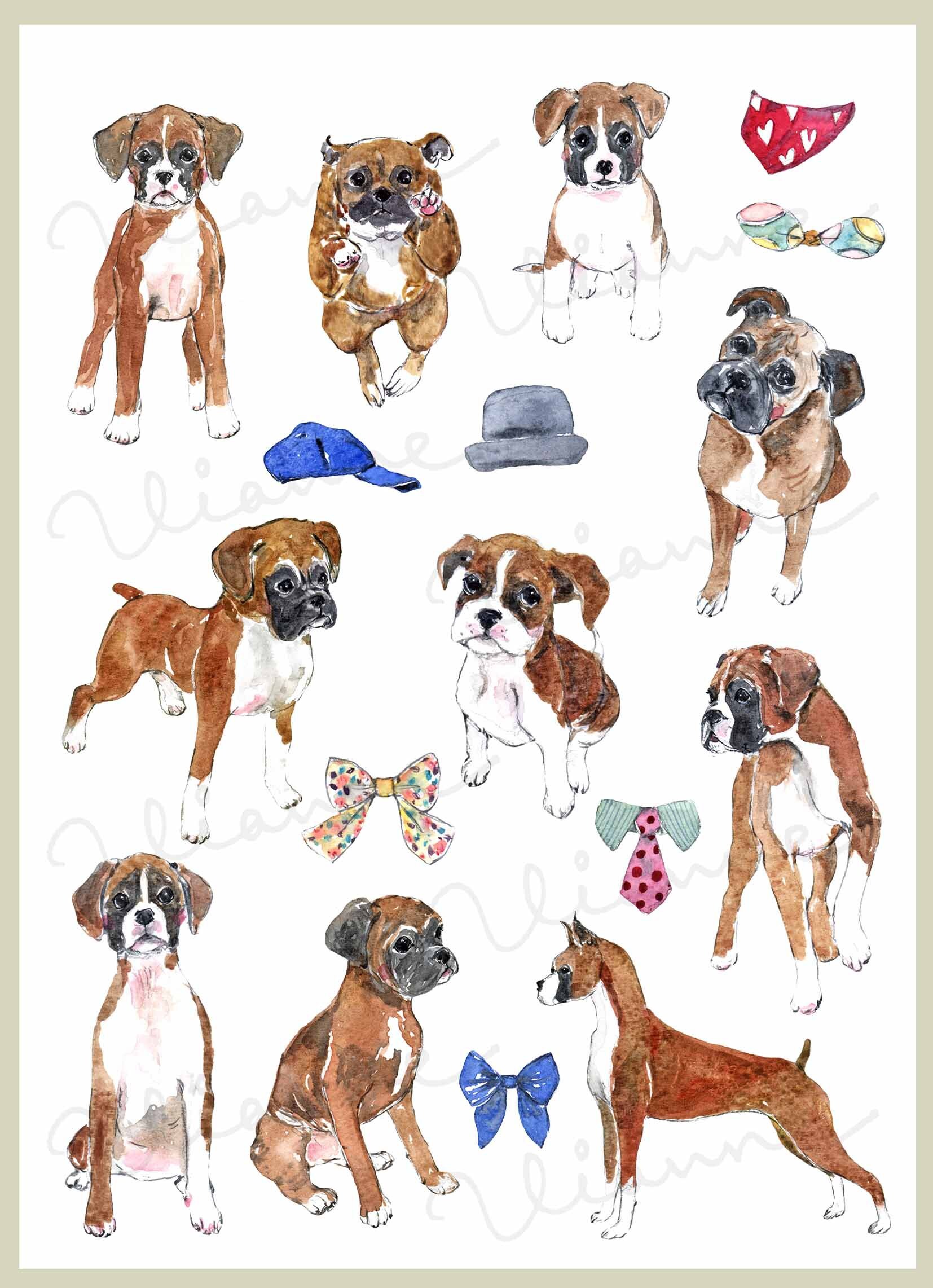 Watercolor Boxer Dogs Clip Art Set (digital Download) - Etsy
