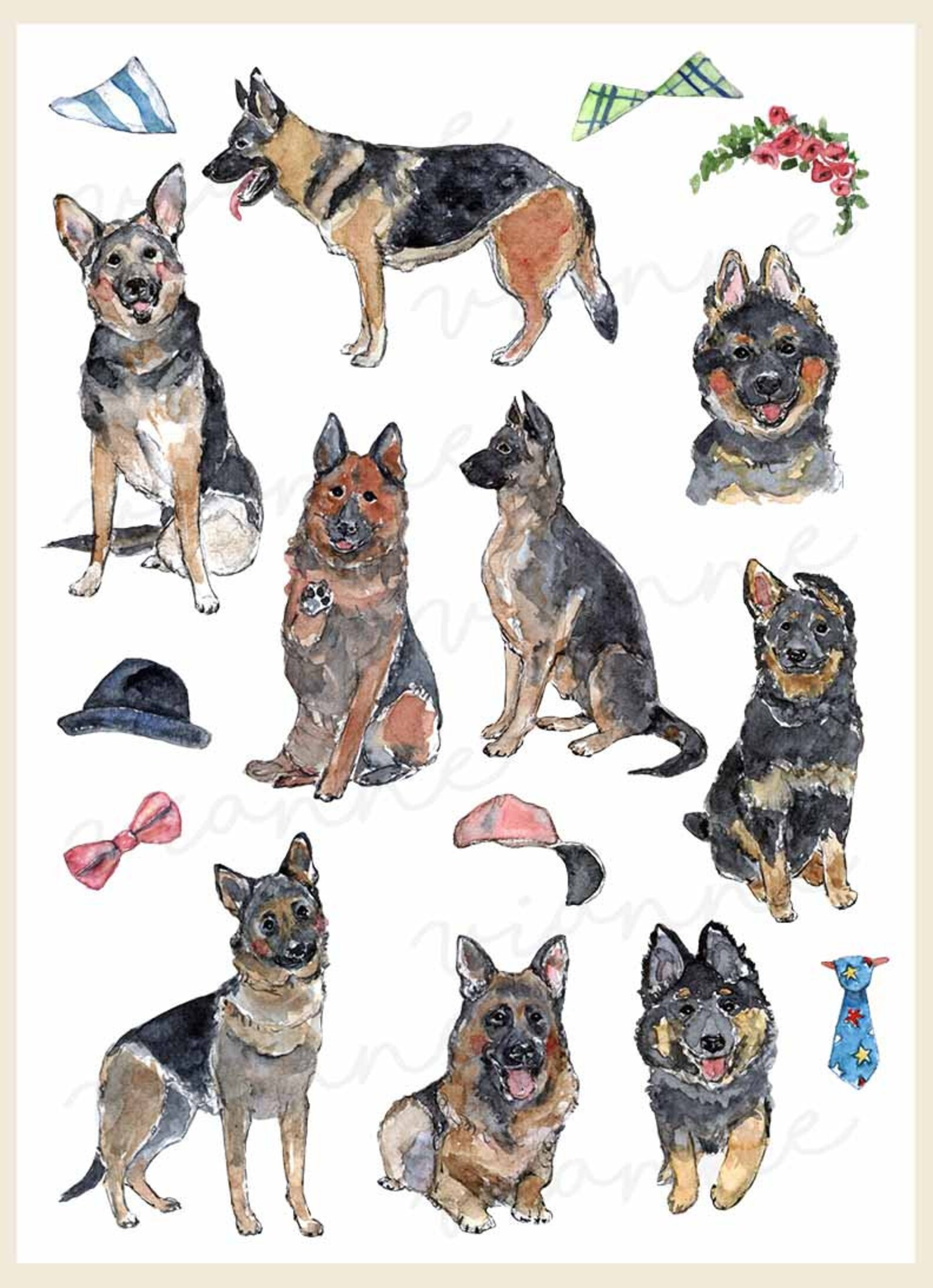 CLIP ART Watercolor German Shepherd Set. 16 Images. Digital Download ...