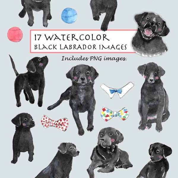 Black Labrador Clip Art - Etsy