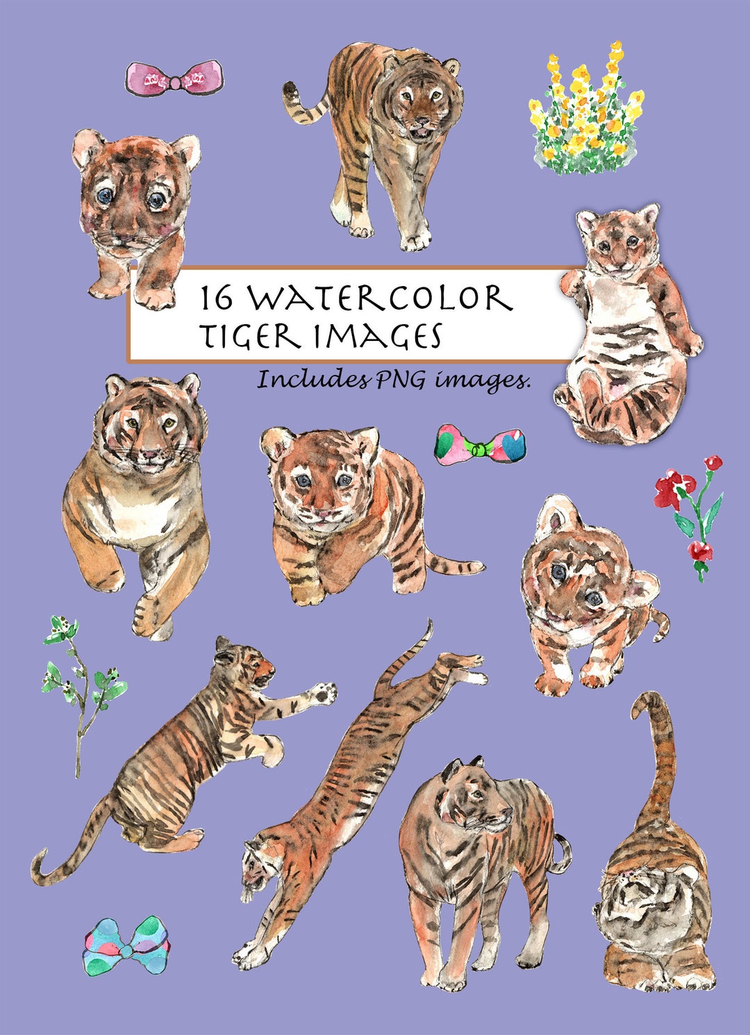Watercolor Tiger Clipart Set: 16 PNG Images (digital Download) - Etsy