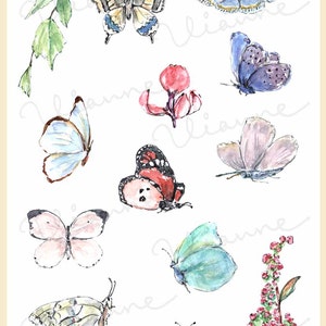 CLIP ART- Watercolor Butterflies Set. 13 Images. Digital Download ...