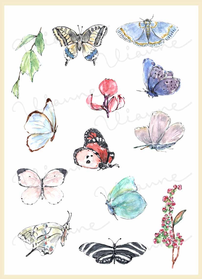 CLIP ART- Watercolor Butterflies Set. 13 Images. Digital Download ...