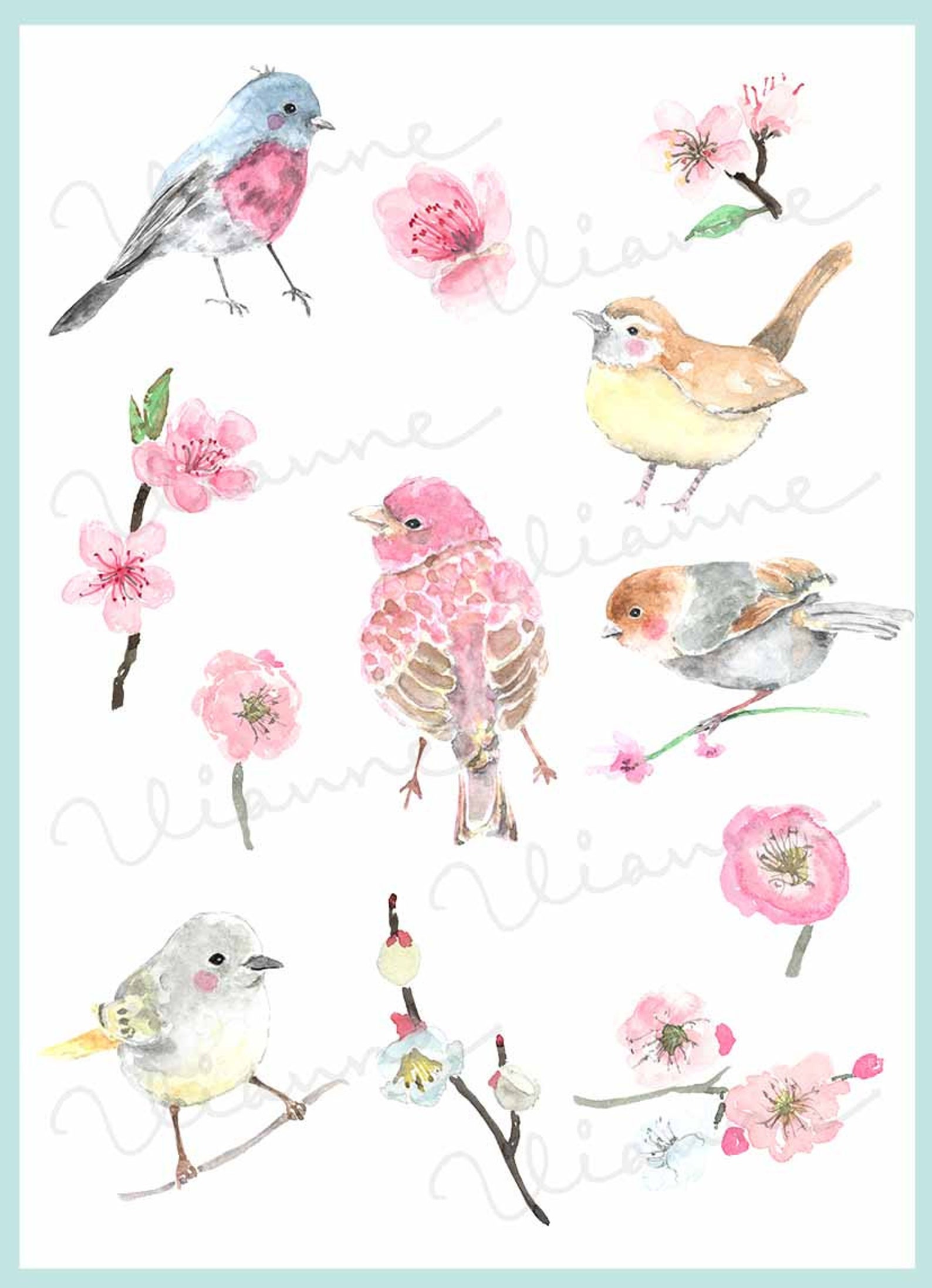 CLIP ART- Watercolor Birds & Cherry Blossoms Set. 12 Images. Digital ...