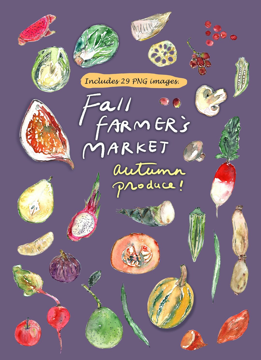 Watercolor Fall Farmer's Market Clipart: Autumn Produce (digital ...