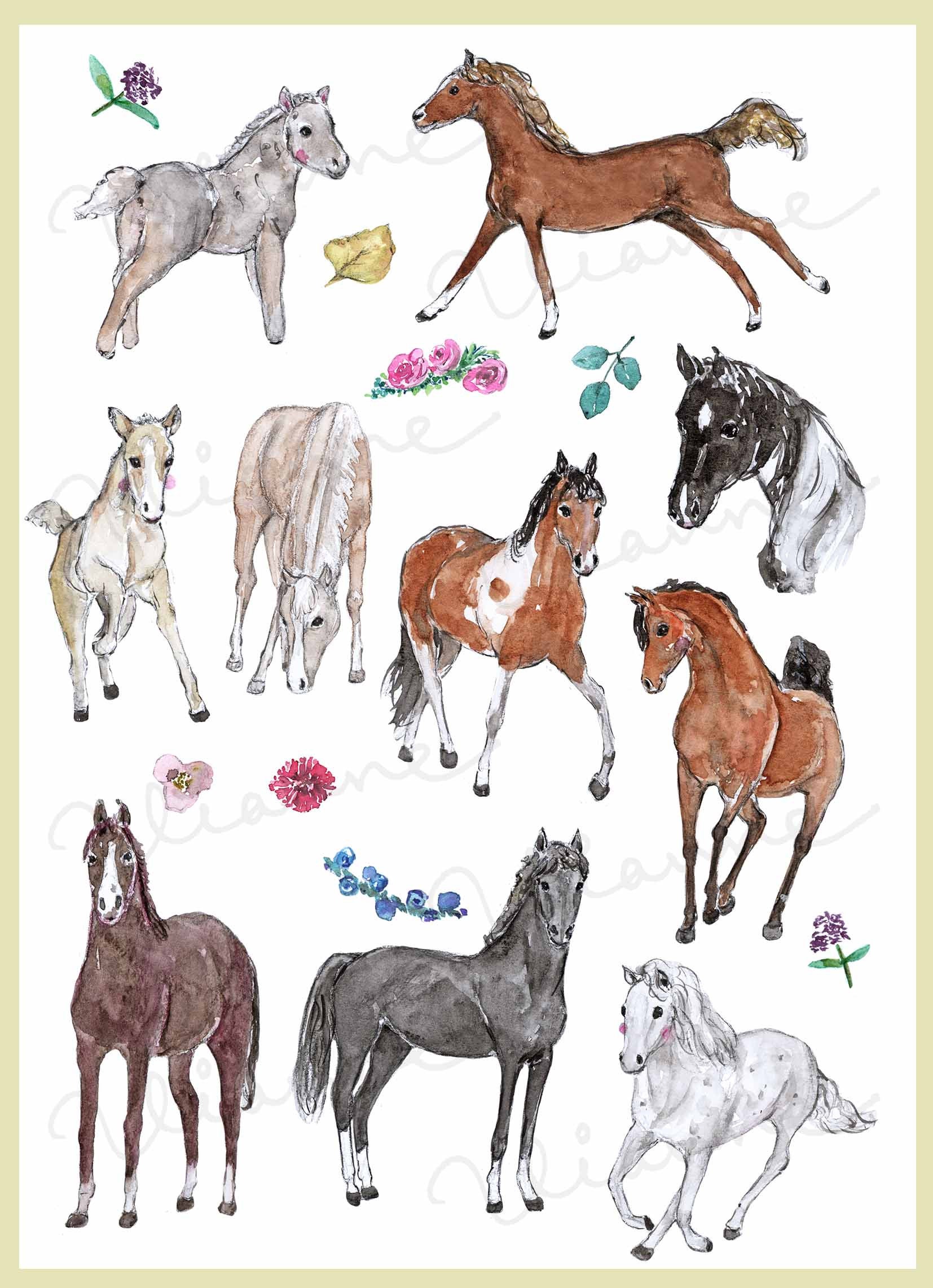 CLIP ART Watercolor Horse Set. 18 Images. Digital Download. - Etsy