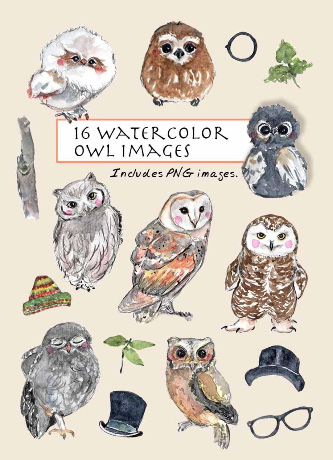 CLIP ART- Watercolor Owl Set. 16 Images. Digital Download. Baby Owl ...