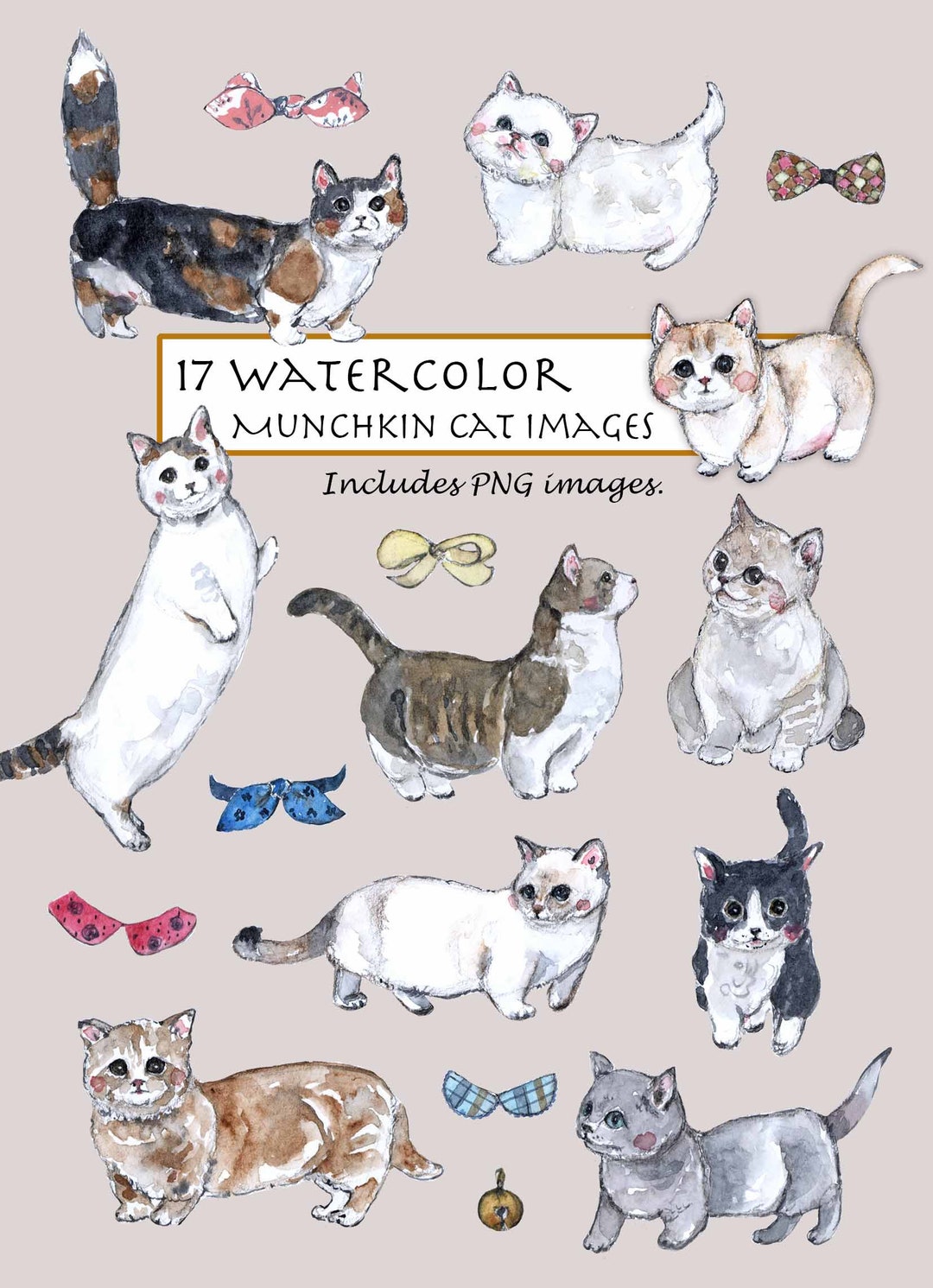 Watercolor Munchkin Cat Clipart: 17 PNG Images (digital Download) - Etsy