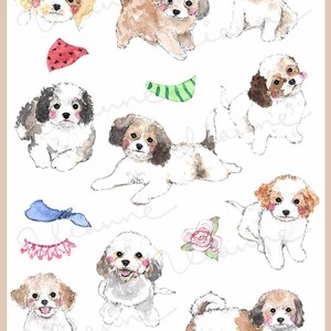 CLIP ART- Watercolor Cavachon Set. 16 Images. Digital Download. - Etsy