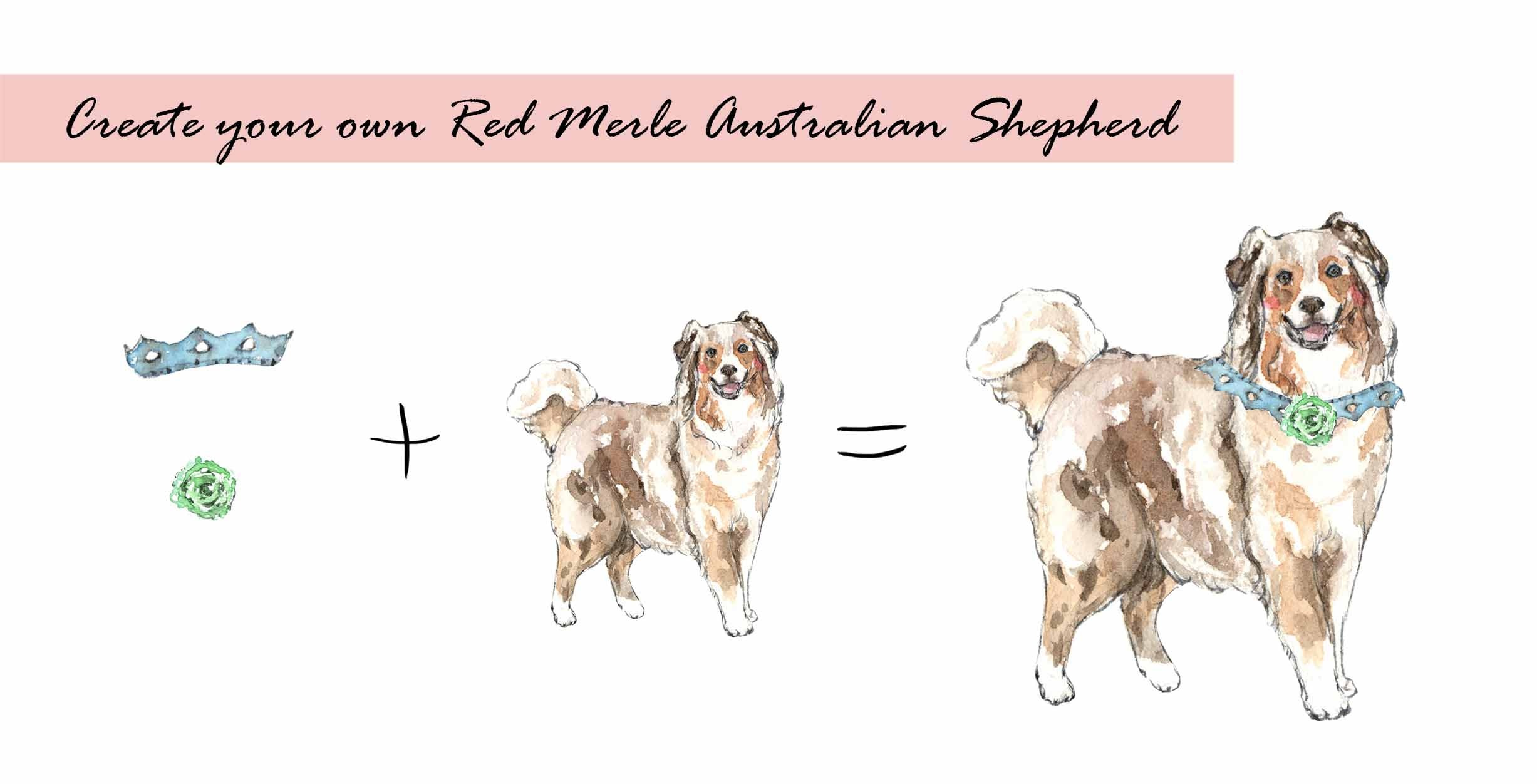 CLIP ART Watercolor Red Merle Australian Shepherd Set. 17 | Etsy