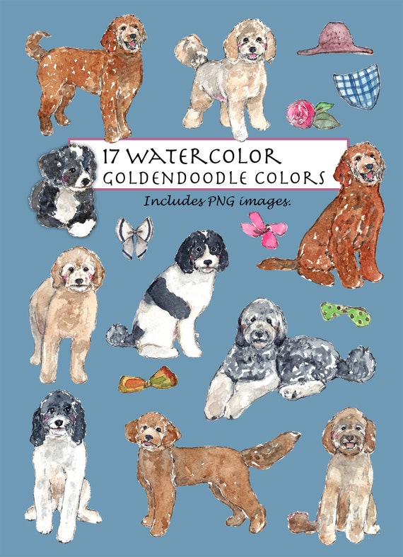 CLIP ART Watercolor Goldendoodle Colors Set. 17 Images. - Etsy