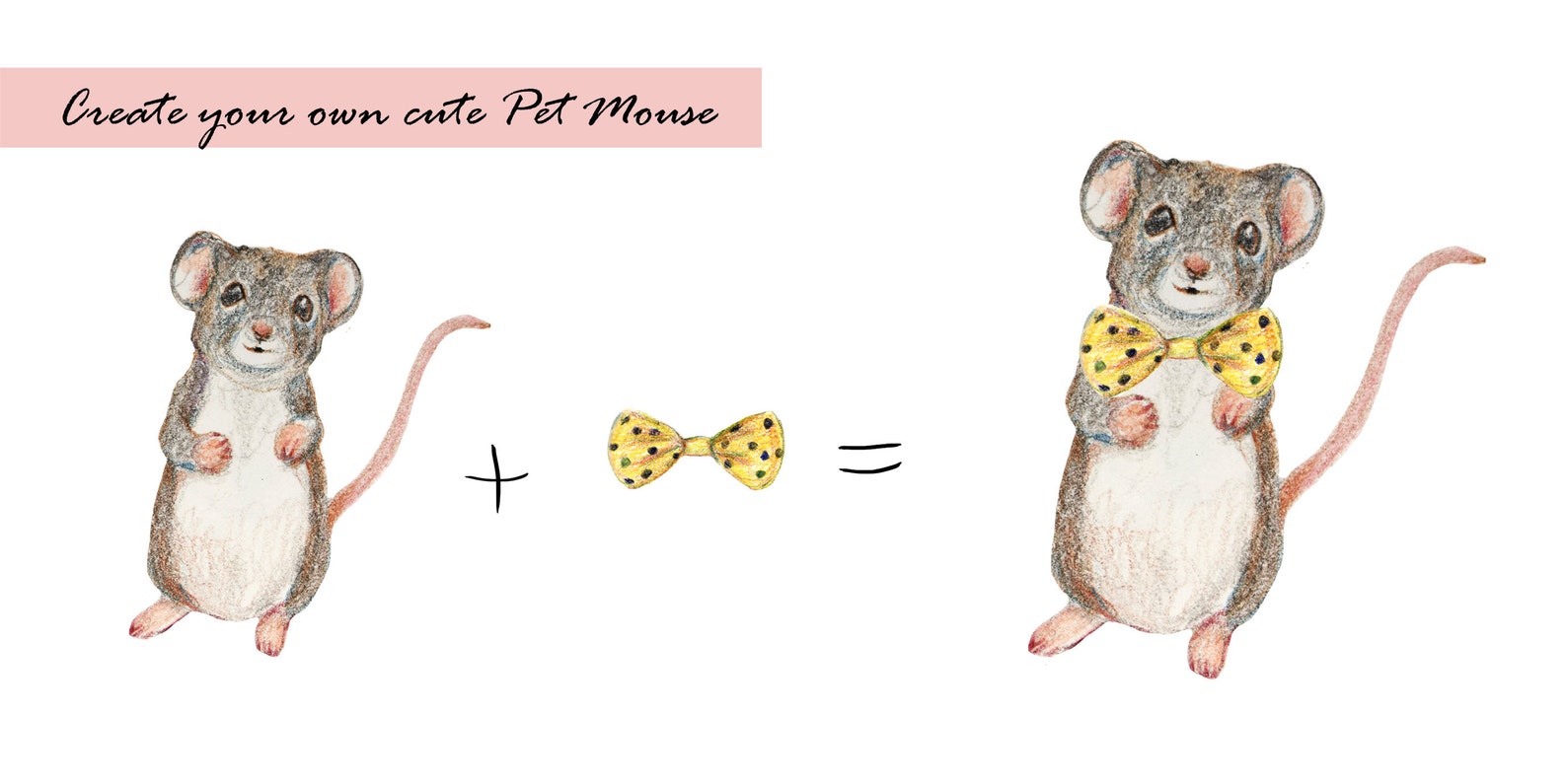 Colored Pencil Pet Mouse Clip Art Set (digital Download) - Etsy