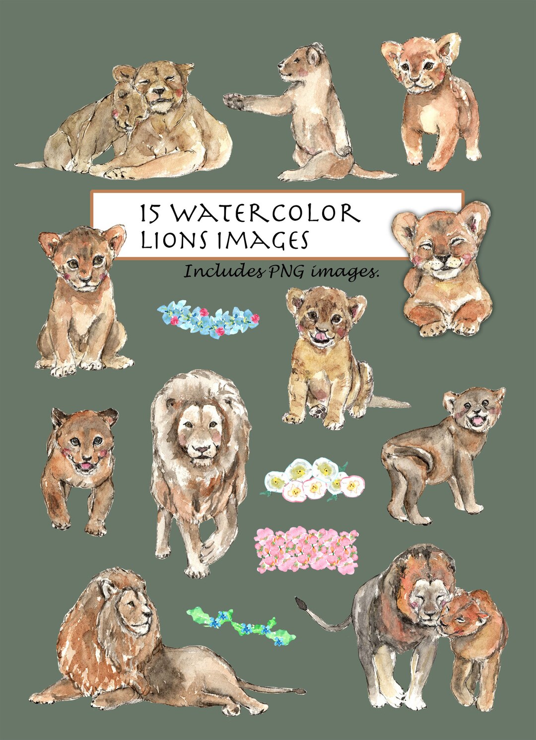 Watercolor Lion Clipart Set: Wild Animal PNG Images (digital Download ...