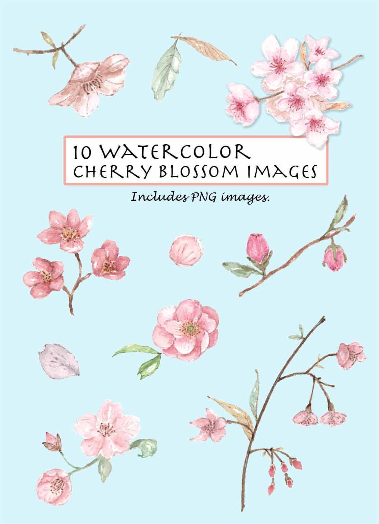CLIP ART- Watercolor Vintage Cherry Blossom Set. 10 Images. Digital ...
