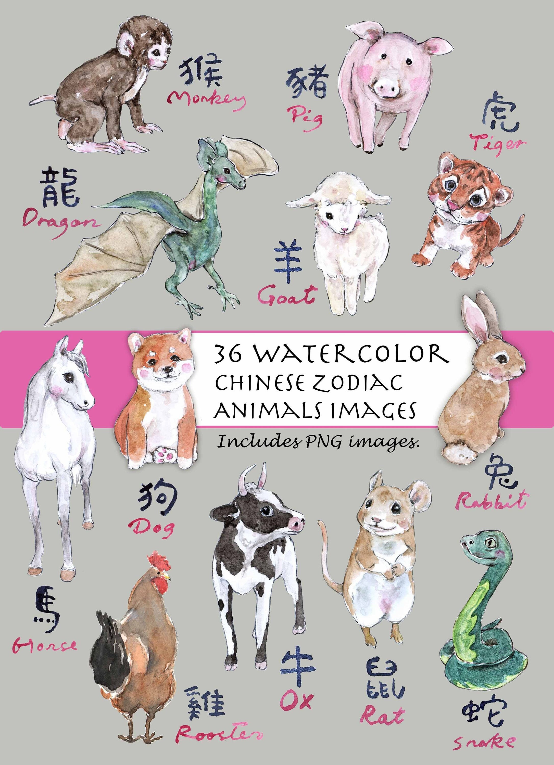 Chinese Zodiac Animals
