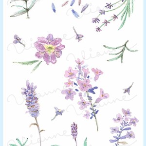 CLIP ART Watercolor Vintage Lavender Set. 11 Images. Digital - Etsy