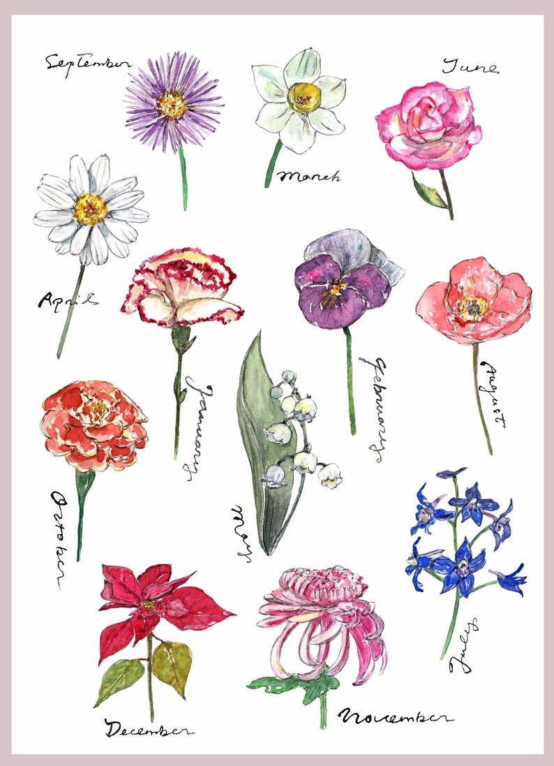 Watercolor Birth Flower Clipart: Month Name Lettering (24 PNG) - Etsy