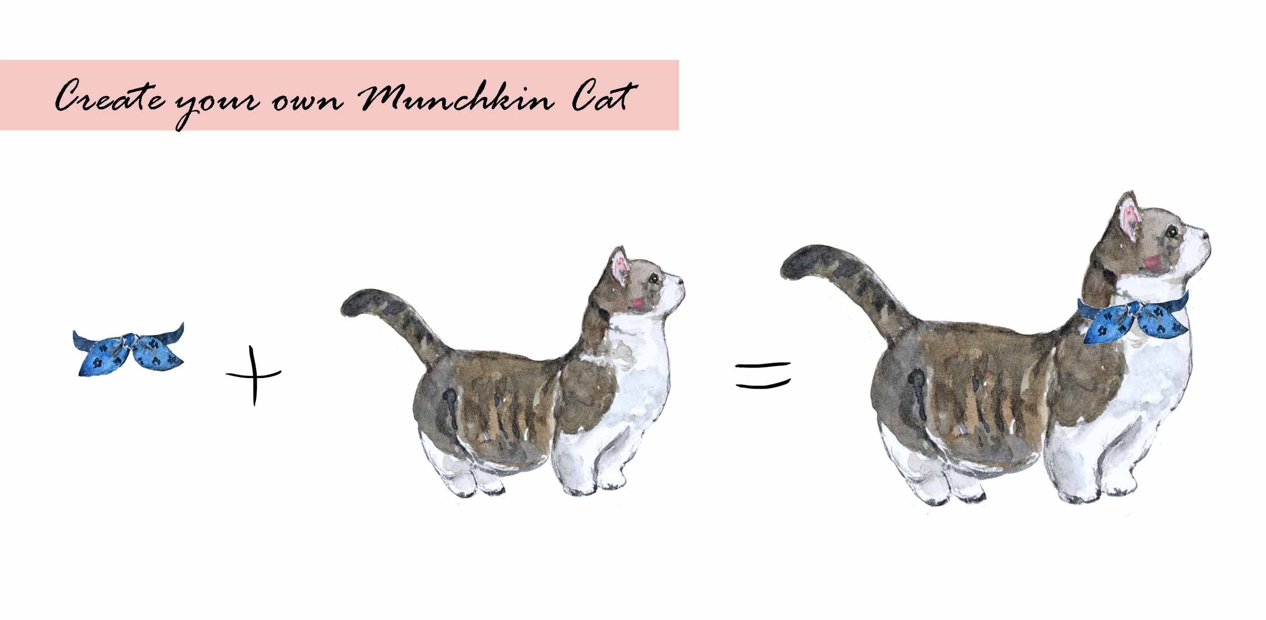 Watercolor Munchkin Cat Clipart: 17 PNG Images (digital Download) - Etsy