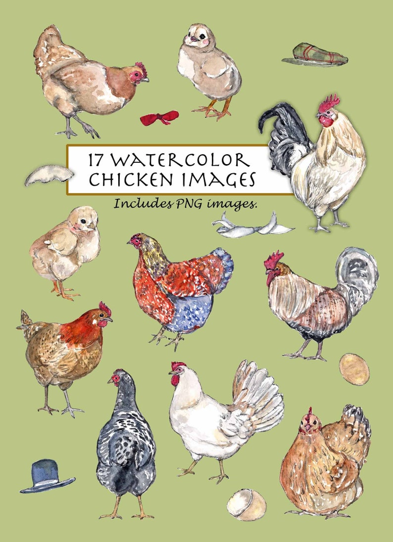 CLIP ART Watercolor Chicken Set. 17 Images. Digital Download. Rooster ...