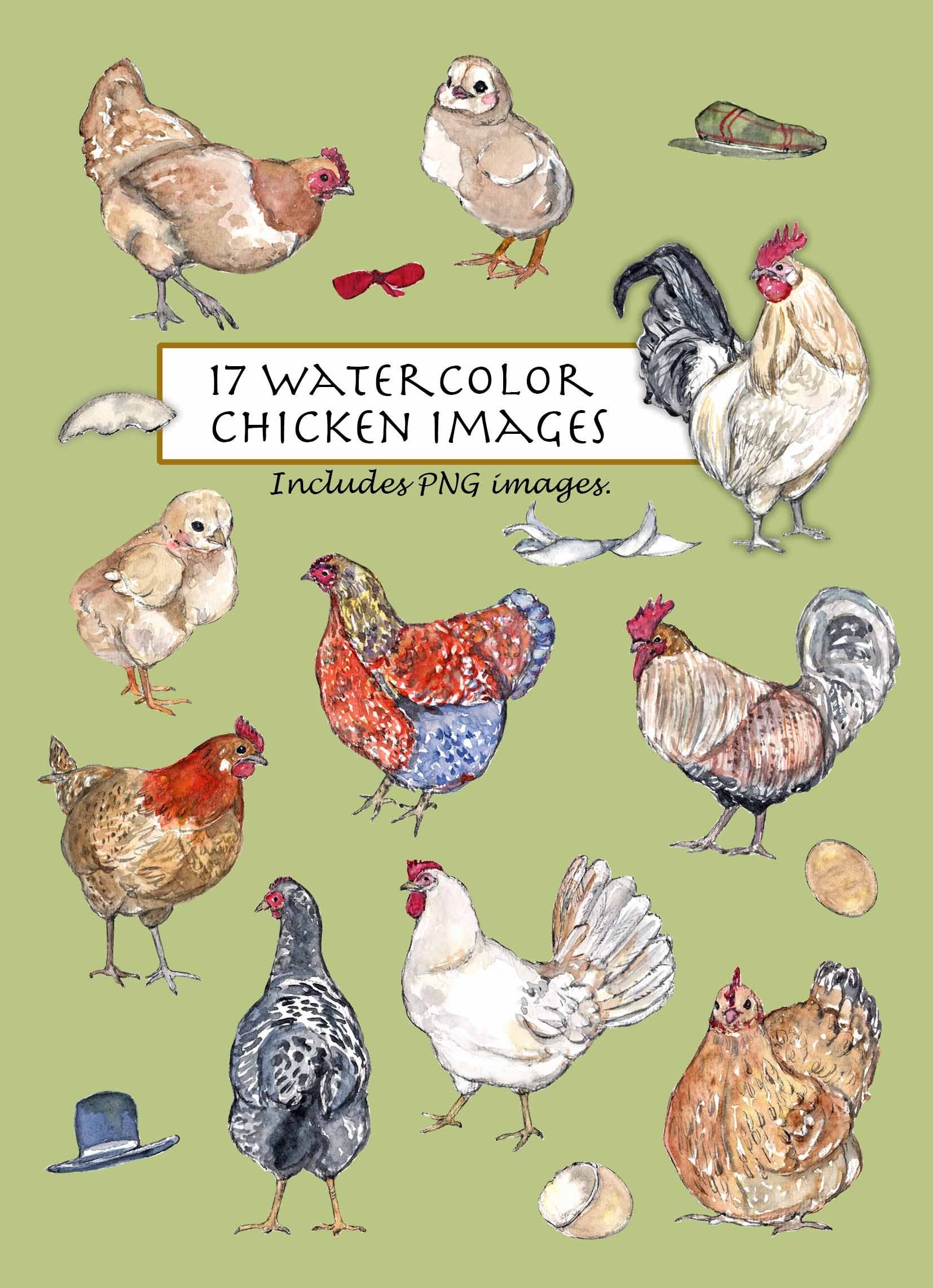 CLIP ART Watercolor Chicken Set. 17 Images. Digital Download. Rooster ...