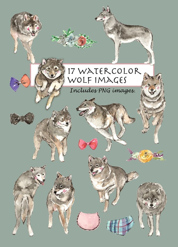 CLIP ART Watercolor Wolf Set. 17 Images. Digital Download. | Etsy