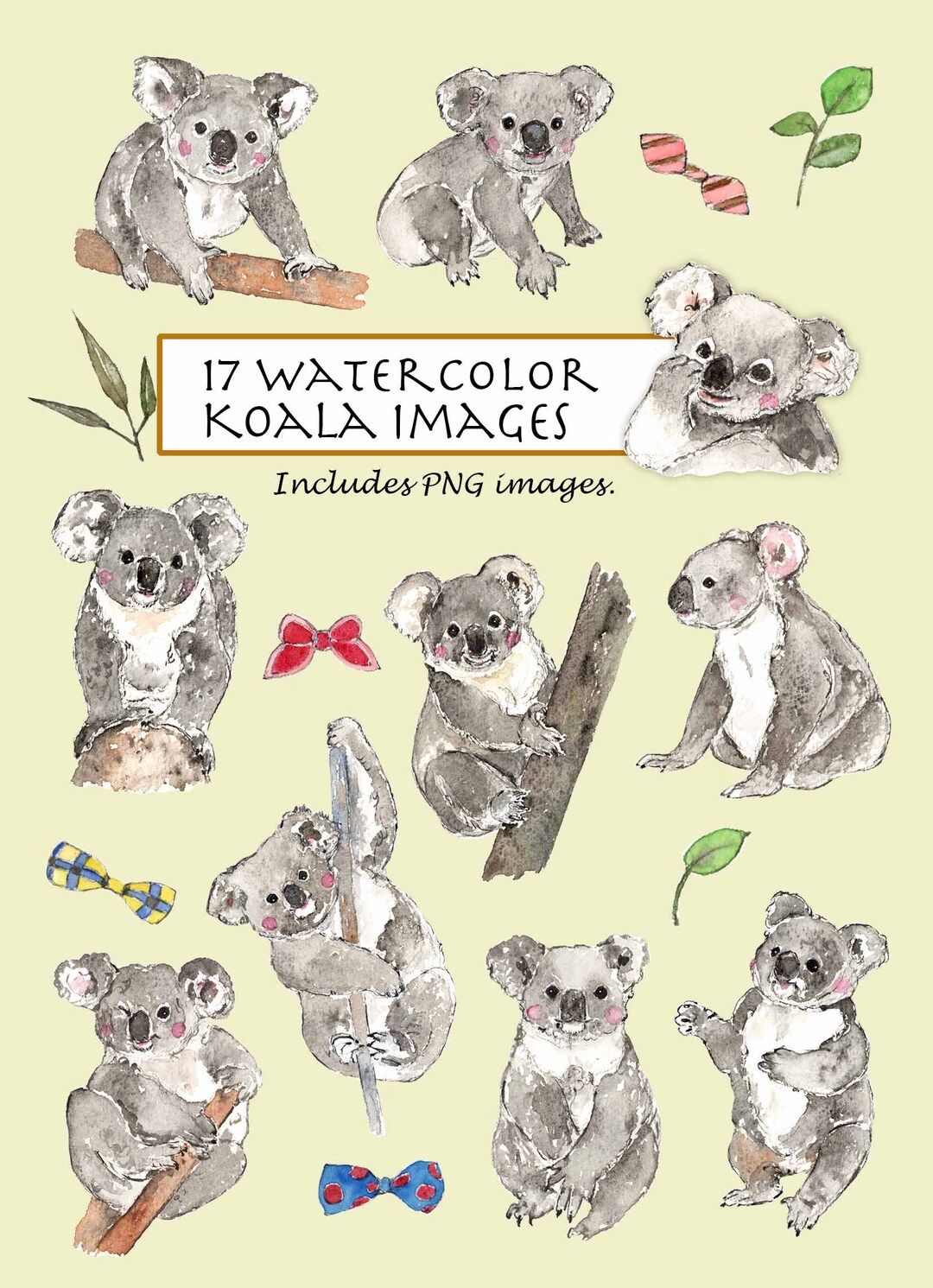 CLIP ART- Watercolor Koala Set. 17 Images. Digital Download. Australia ...