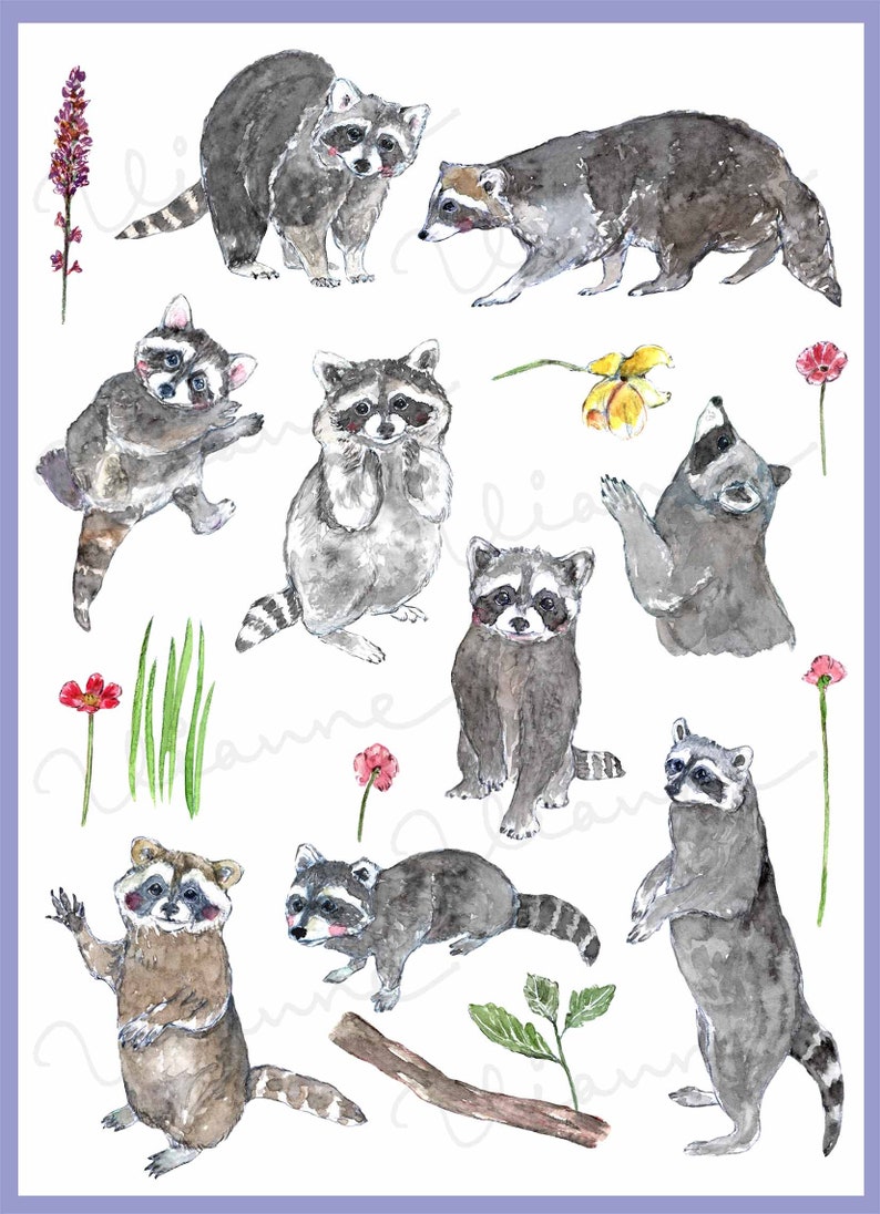 Watercolor Raccoon Clip Art Set: Wild Animals, Flora (digital Download ...