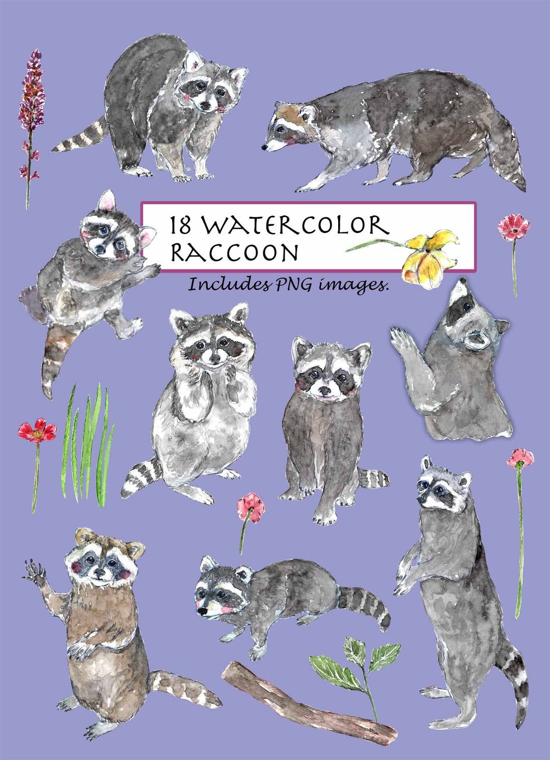 Watercolor Raccoon Clip Art Set: Wild Animals, Flora (digital Download ...
