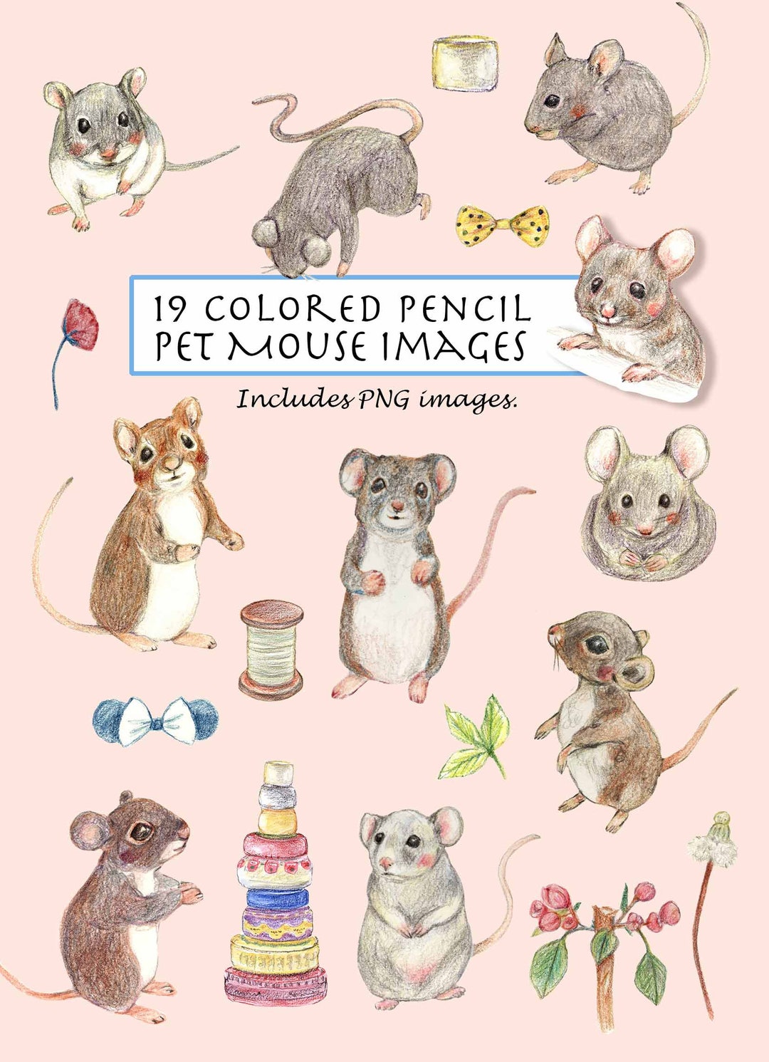 Colored Pencil Pet Mouse Clip Art Set (digital Download) - Etsy