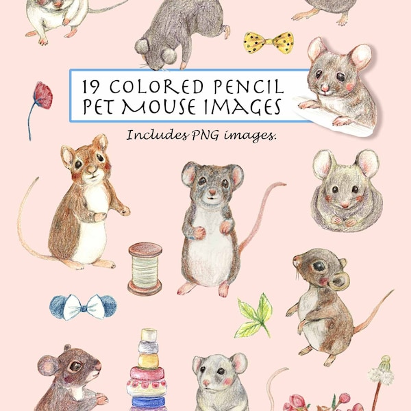 Colored Hair Clip Art - Etsy