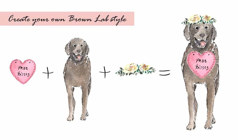 CLIP ART Watercolor Brown Labrador Set. 16 Images. Digital Download ...