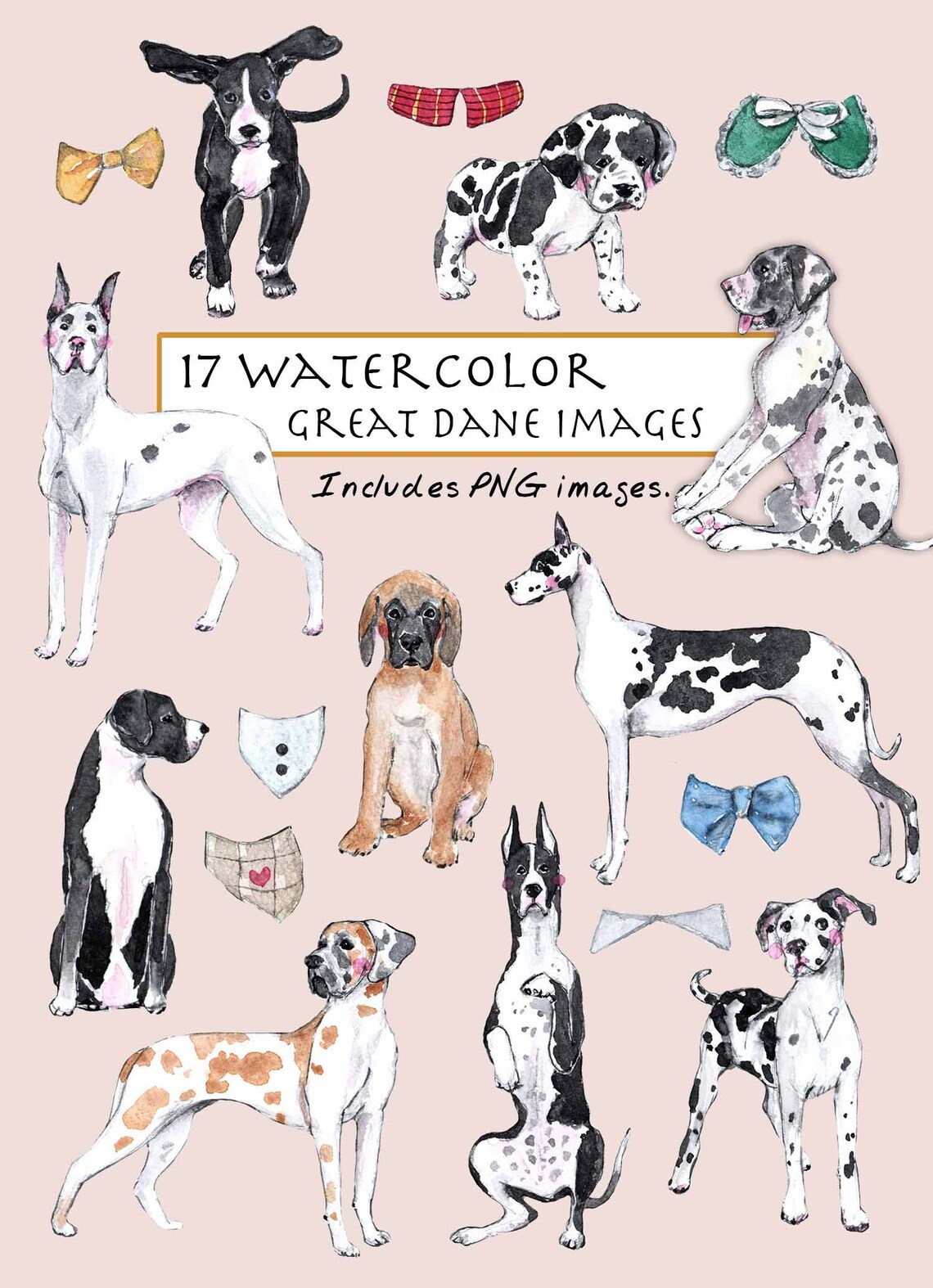 CLIP ART Watercolor Great Dane Set. 17 Images. Digital - Etsy