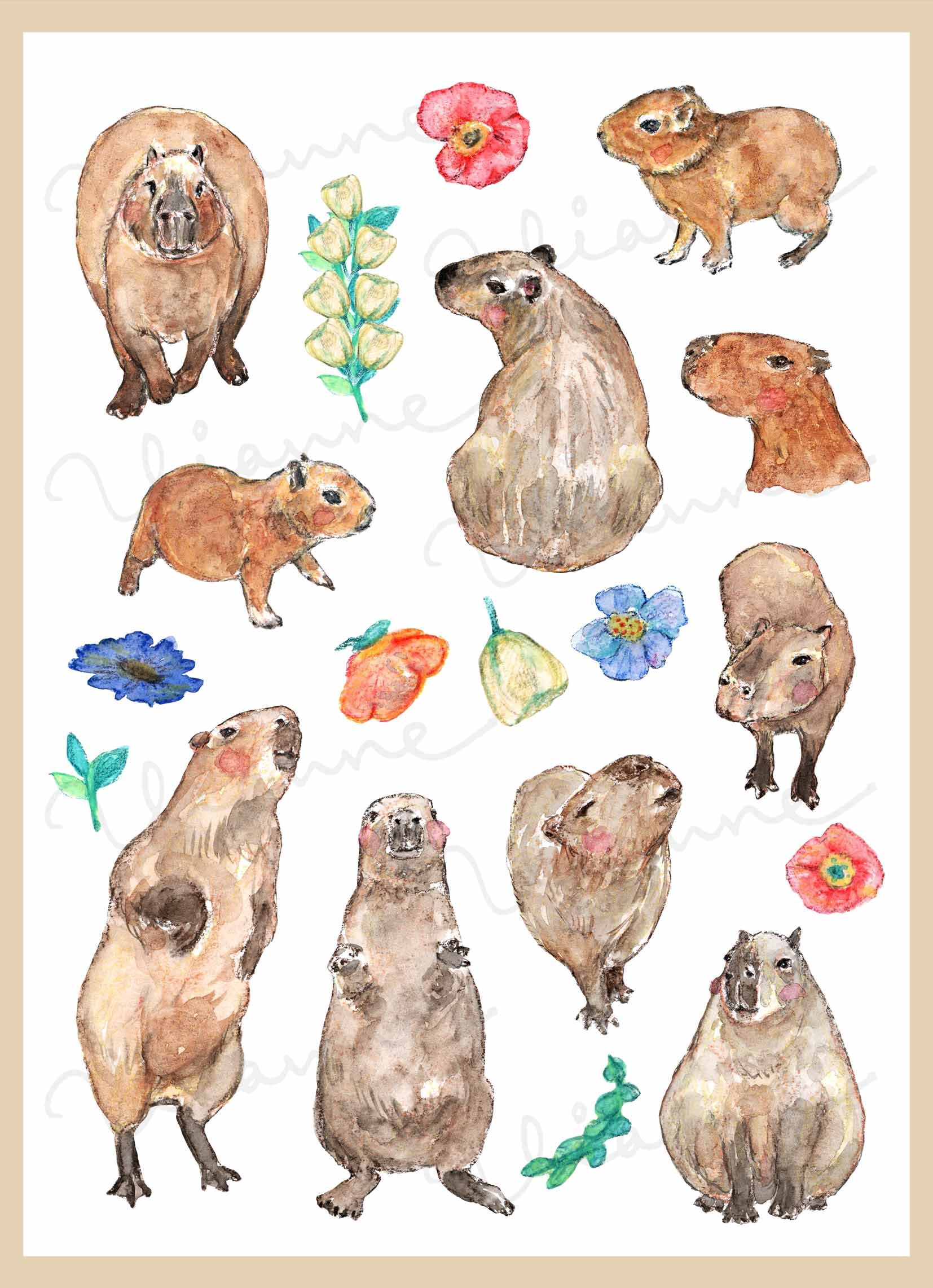 CLIP ART- Watercolor Capybara Set. 19 Images. Digital Download. - Etsy