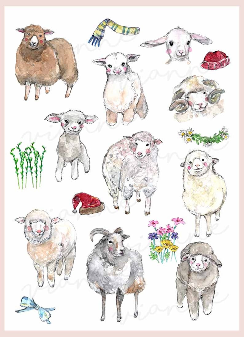 CLIP ART Watercolor Sheep Set. 17 Images. Digital Download. - Etsy