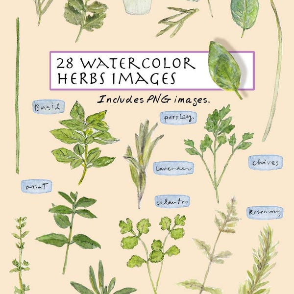 Watercolor Herbs - Etsy