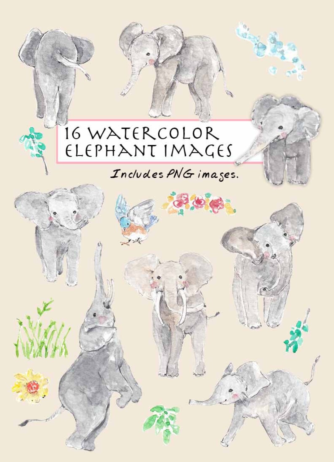 Watercolor Elephant Clipart Set: 16 PNG Images (digital Download) - Etsy UK